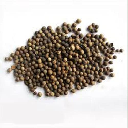 Kapoor Tree Seed : Amazon.in: Garden & Outdoors