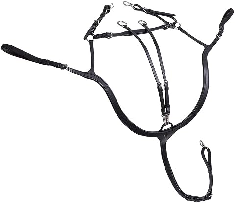 SUNRIDE Vorderzeug Ascot aus Echtleder mit Martingal - für Pferde - als 5-Punkt und 3-Punkt ...