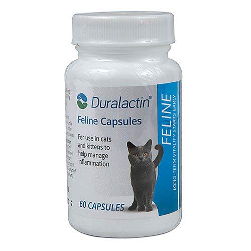 Buy Duralactin for Cats - 60 Count 60 ct Online at Low Prices in India ...