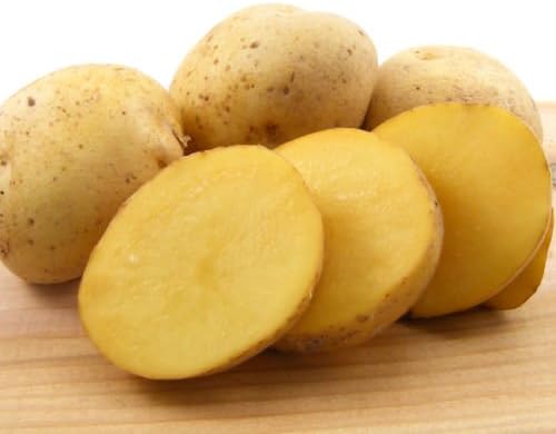 Amazon.com: German Butterball Seed Potatoes Certified Organic 2 Lbs Non ...