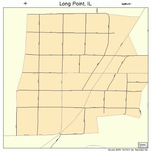Amazon.com : Large Street & Road Map of Long Point, Illinois IL ...