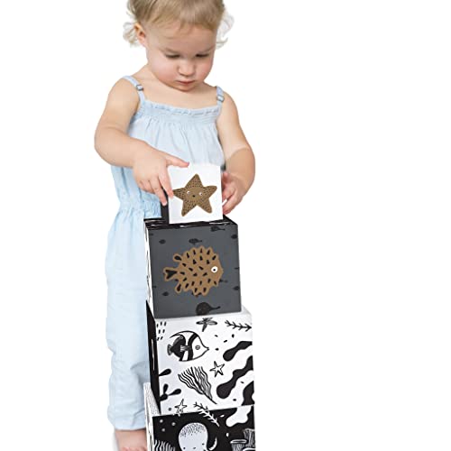 Best 9 Nesting & Stacking Barrels Manipulative Set for Young Explorers