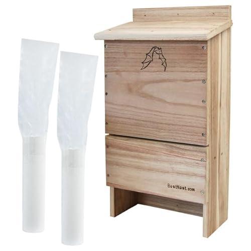 10 Best Bat Houses 2024 | There's One Clear Winner | BestReviews.Guide
