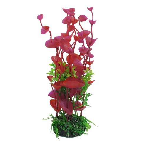 12 Best Red Aquarium Plants: Review & Care Tips [2022] - The Aquarium Guide