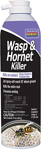 Find The Best Product For Killing Wasps Reviews & Comparison - Katynel