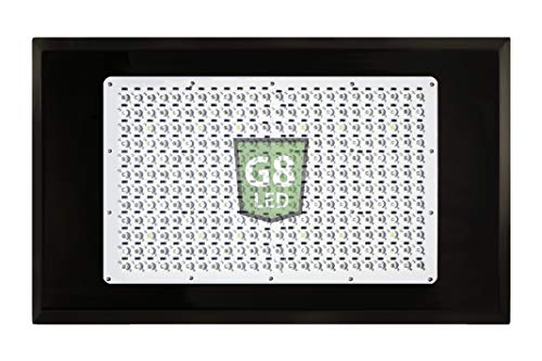 Hydroponic Lights Guide That Ensure Plant Growth - The Gardener