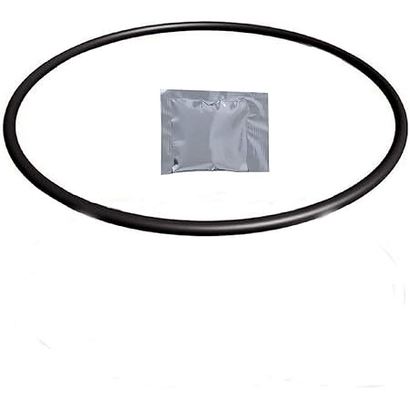 Amazon.com: Hayward SPX0714L Cover O-ring Replacement for Hayward ...
