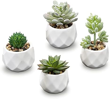 Amazon.com: MyGift Set of 4 Mini Assorted Green Decorative Artificial ...