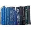 Amazon.com: Modern Blue 12 Books by Color | Real Hardback Books Home ...