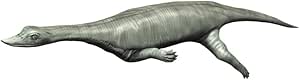 Amazon.com: Wumengosaurus aquatic reptile from the Middle Triassic ...