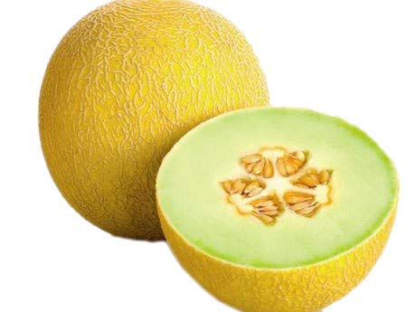 Creative Farmer Vegetable Seeds Sarda Fruit Seeds - Yellow Melon Seeds ...