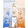 Amazon.com: YOUKAIN 52'' Low Profile Ceiling Fan With Light, Gold Flush ...