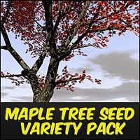 Amazon.com : Maple Tree Seed Variety Pack : Patio, Lawn & Garden