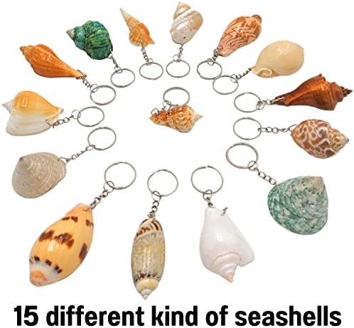 Amazon.com: 15 Assorted Real Seashell Keychains as Souvenirs, Favors ...