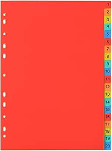 SJBAUTYO 20 Divisori per Raccoglitori ad Anelli A4, Separatori Raccoglitore ad Anelli A4 ...