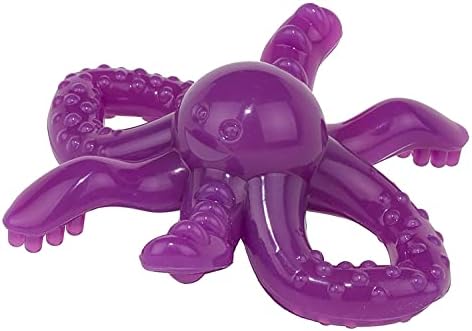 Amazon.com : Baby Banana - Octopus Teething Toy Toothbrush, Training ...