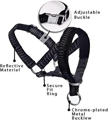 Best Dog Halters - Best For Pets - The 7 Best Dog Halters