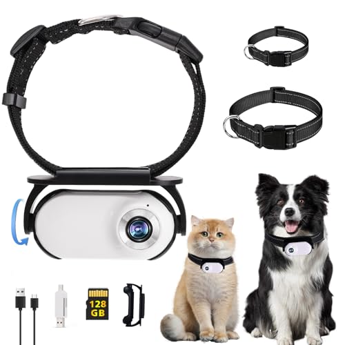 Cat Collar Camera – The 15 best products compared - Wild Explained
