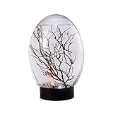 EcoSphere - A Living World in Your Hands | The Green Head