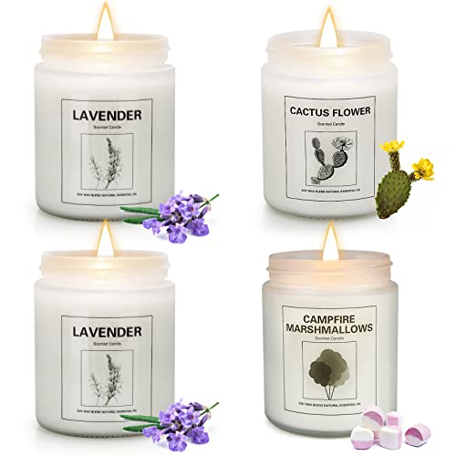 Candela Uomo: quale è meglio scegliere?