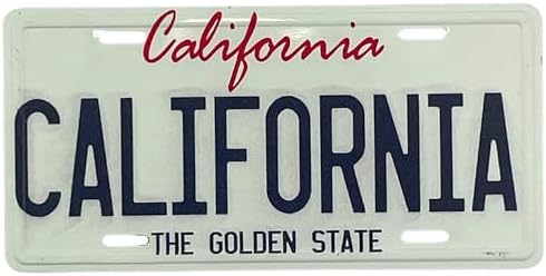 Amazon.com: Miniature Florida License Plate Magnet, Ideal for Fridge ...