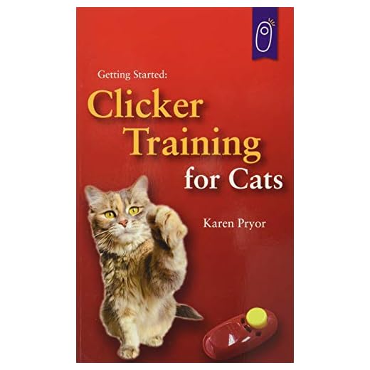 Best Cat Training Books and Guides (2023 Reviews) - MPLI