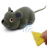 Rc Mouse