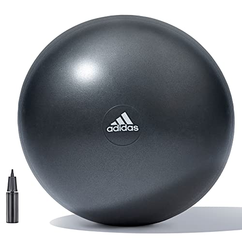 Amazon.co.jp Best Sellers: The most popular items in Exercise Balls ...