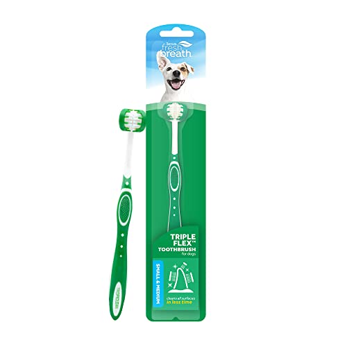 Best Dog Toothbrush