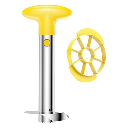 I 7 Migliori Taglia Ananas - Miglioreinrete