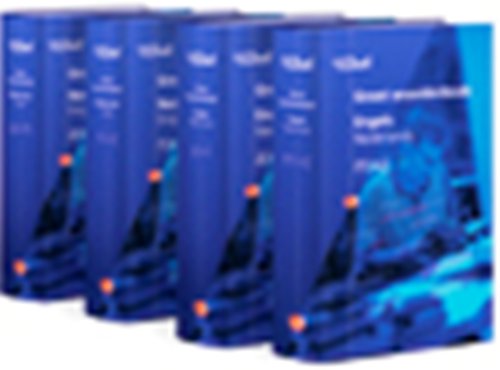 Van Dale Comprehensive Dutch to English and English to Dutch Dictionary ...