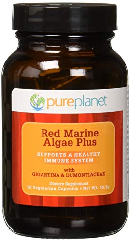Best Red Marine Algae Plus 2025 Where to Buy? SeaweedAfrica.org