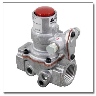 Amazon.com: Baso H15DB-1C Baso H15DB-1C SAFETY (H15DB-1C) : Industrial ...