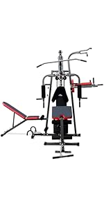 Lifeline Multi Home Gym Leg Press Machine HG 008 with Preacher Curl ...
