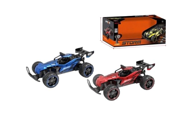 Massive Reckon Kid Remote Control RC Racing Strom Car High Speed Drift ...