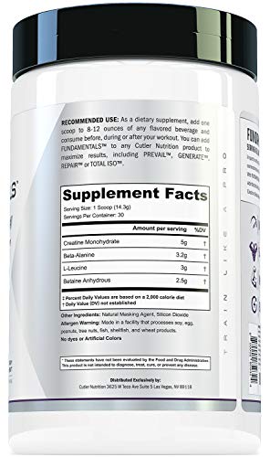 Fundamentals Intra or Post Workout Recovery Drink: 4 Key Ergogenic Aids ...