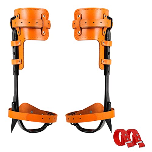 Amazon.co.uk Best Sellers: The most popular items in Pitons & Aid Gear