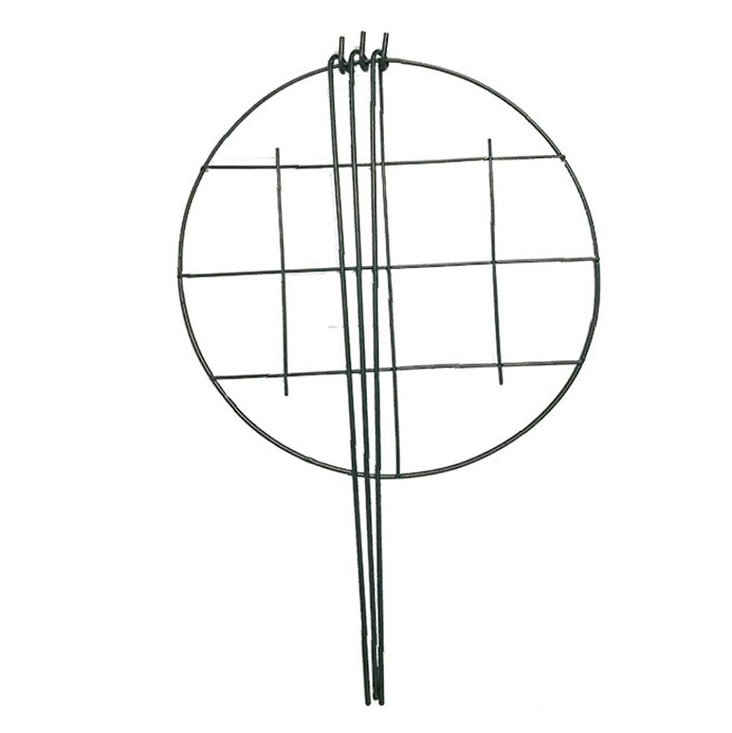Buy Garden Supports Heavy Duty Metal Flower Frame Climbing Perennials s ...