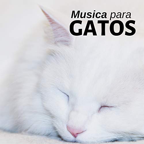 Play Musica para Gatos Prime: Sonidos Relajantes de la Naturaleza by ...