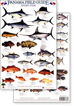 Panama Field Guide - Sport Fish - Livros na Amazon Brasil