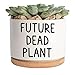 Amazon.com: JENVIO Future Dead Plant | Ceramic Succulent Pot Plant ...