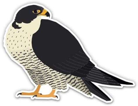 Amazon.com - Peregrine Falcon Bid of Prey - 3" Vinyl Sticker - for Car ...