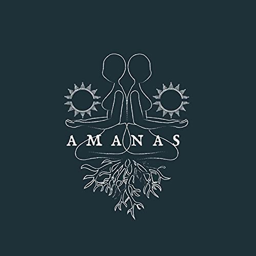 AMANAS : Hanna Charlotte Stein Dominique Lichtblau: Amazon.de: Bücher