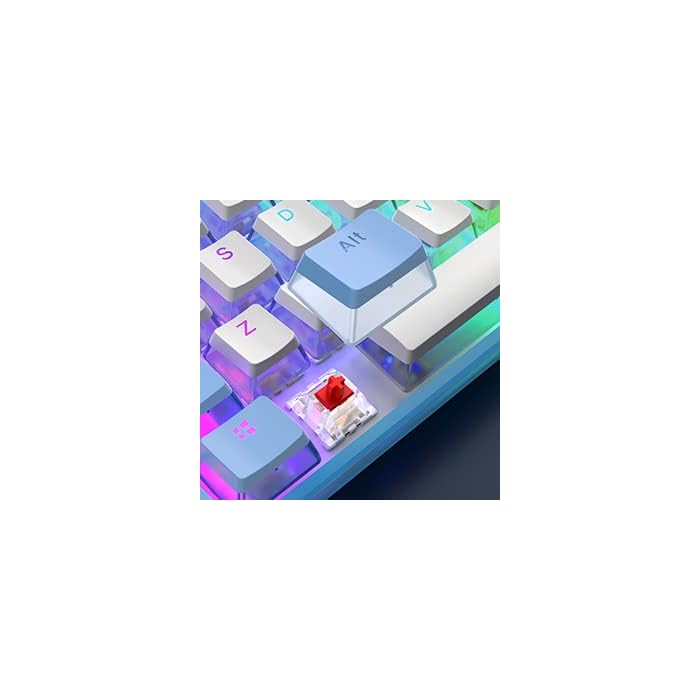 Buy 60% Percent Keyboard Mechanical - Womier WK61 Hot-Swappable ...