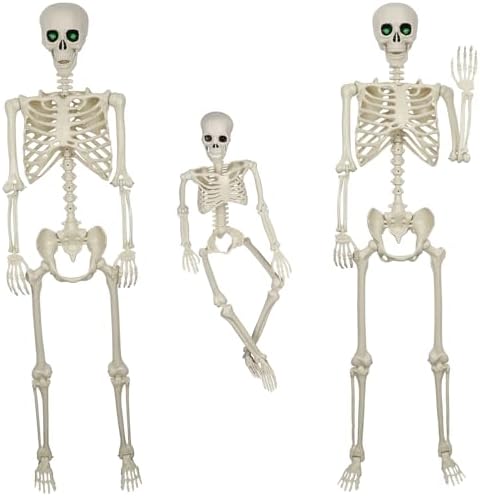 Amazon.com: Halloween Life Size Skeleton, 2Pcs Full Body Poseable ...
