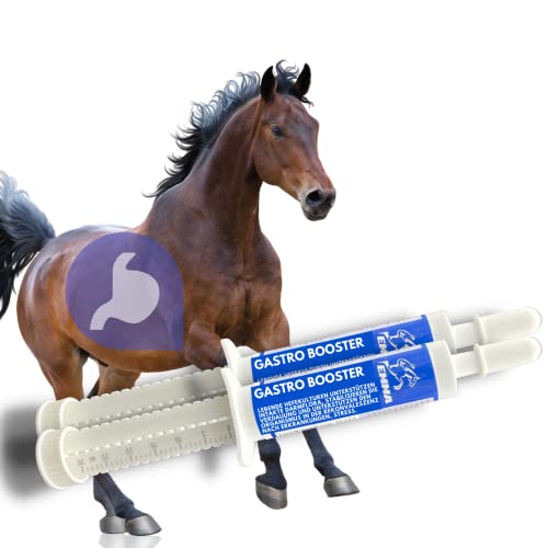 Encuentra los Top Ventas en antiparasitarios para caballos