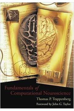 Fundamentals of Computational Neuroscience: 9780198515821: Medicine ...