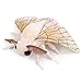 Amazon.com: ZHONGXIN MADE Silk Moth Plush Toy - Lifelike Silk Moth ...