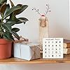 Amazon.com: OVAcational Animal Footprints Tracks Wooden Box Sign,Animal ...
