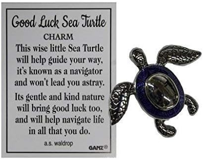 Amazon.com: Ganz Lucky Little Turtle Wish Box Charm With Story Card ...